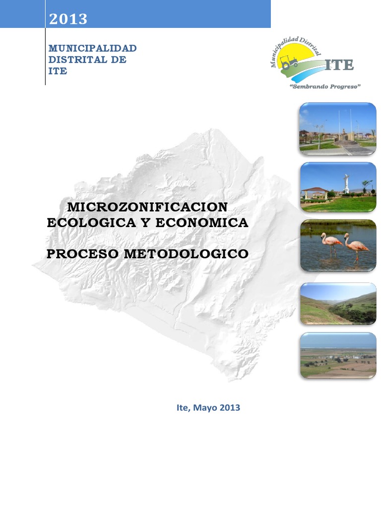 Informe Zee Proceso Muni Ite | PDF | Mapa | Sistema de información ...