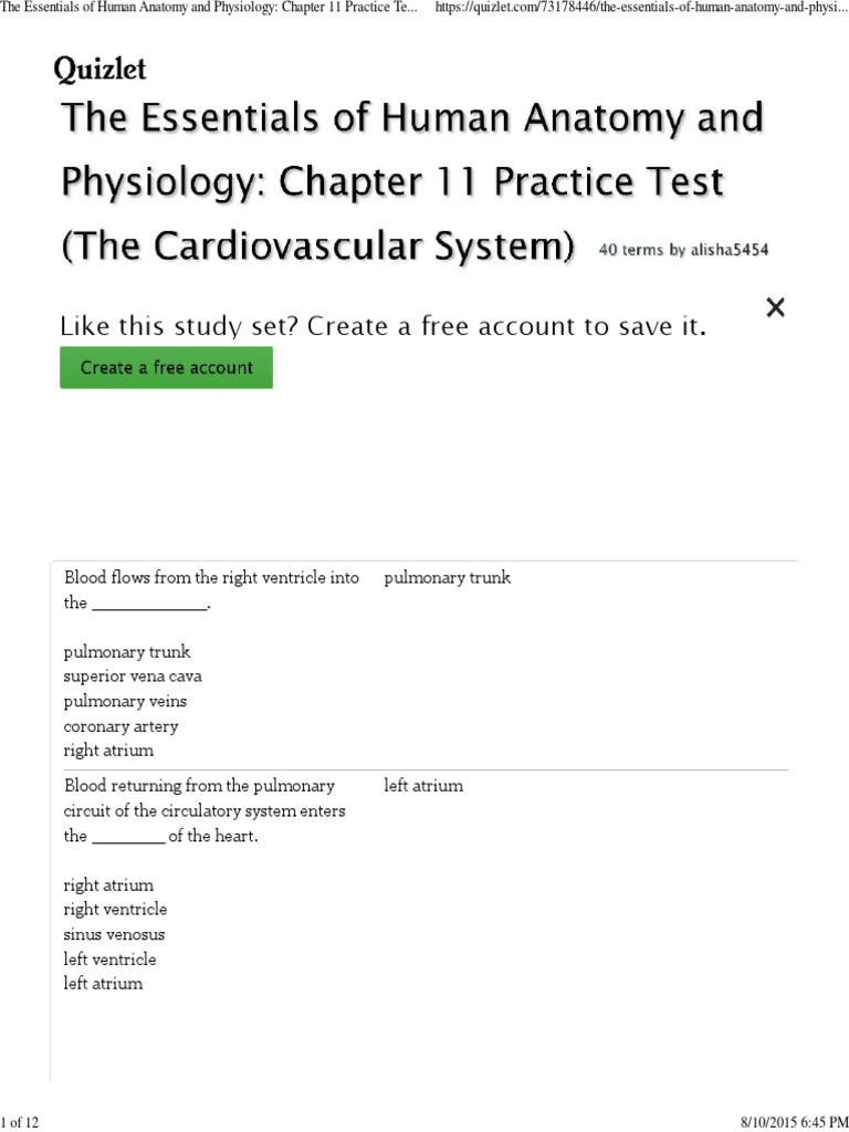 Chapter 11 Cardiovascular System Quiz | PDF | Heart Valve | Atrium (Heart)