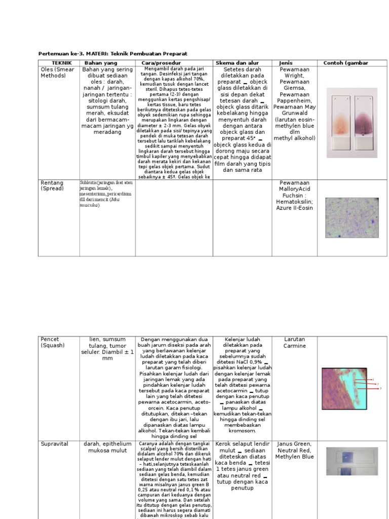 Teknik Dan Tahapan Pembuatan Preparat | PDF