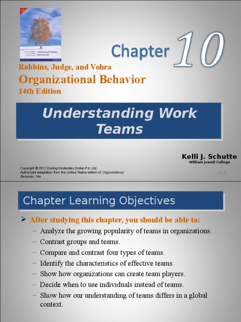 Organizational Behavior: Understanding Work Teams | PDF
