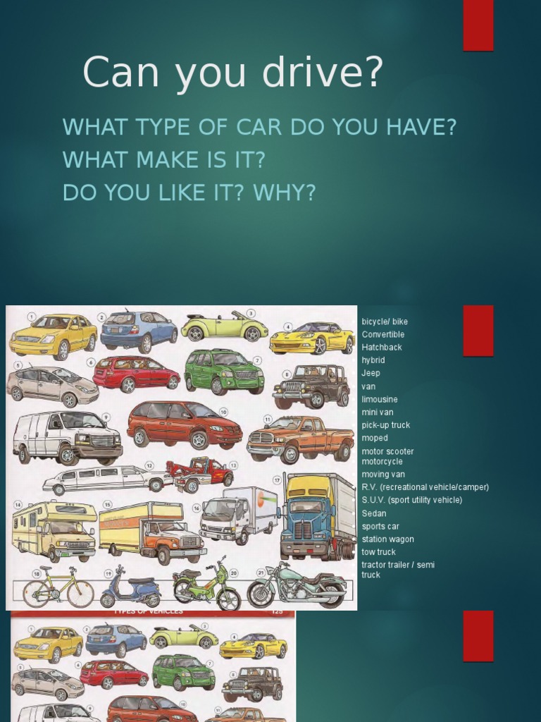 Can You Drive?: What Type of Car Do You Have? What Make Is It? Do You ...