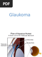Glaucoma ICD-10 Quick Reference 100120 Final | PDF | Glaucoma | Vision