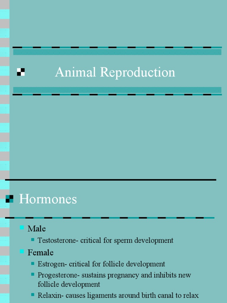 Animal Reproduction | PDF | Reproductive System | Animal Sexuality