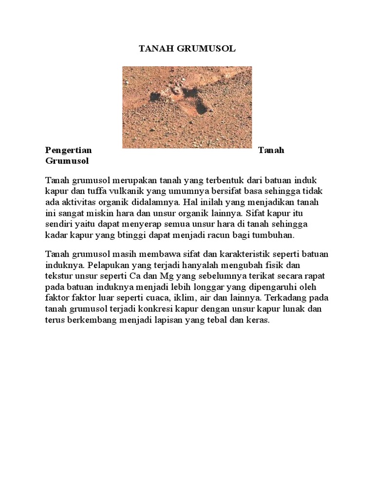 Tanah Grumusol | PDF