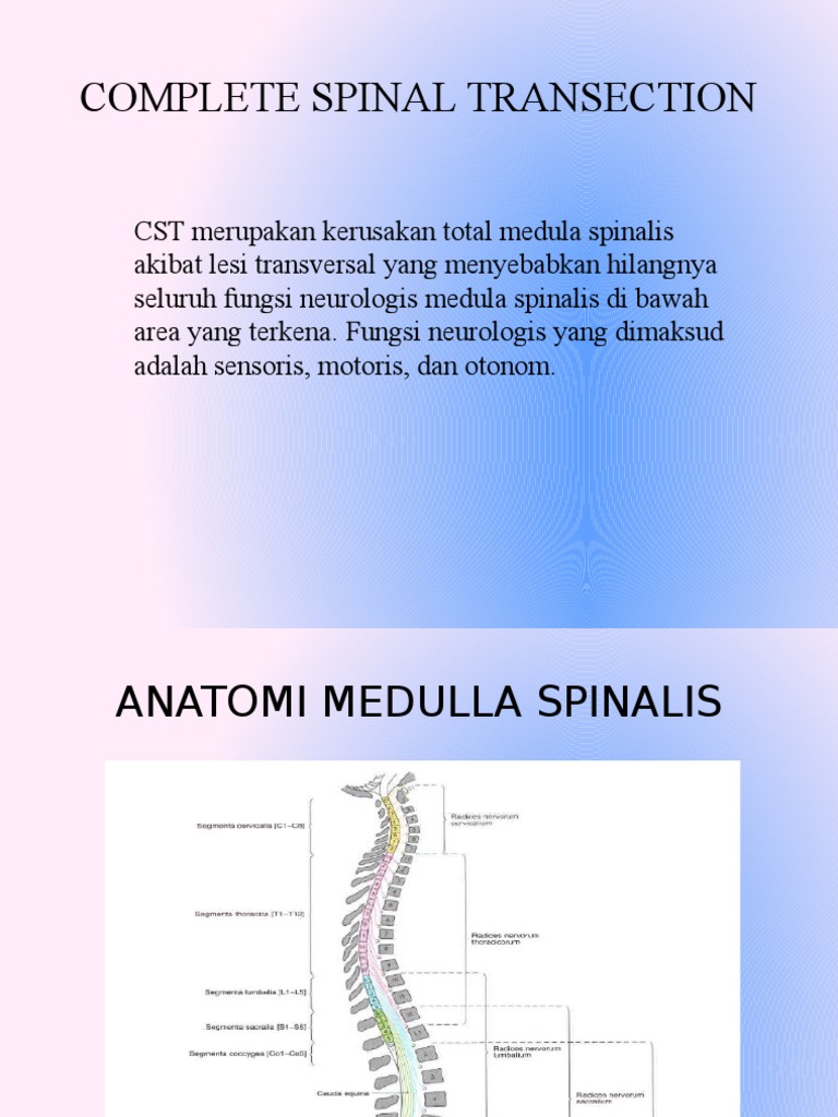 Complete Spinal Transection | PDF