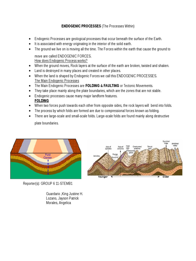 Endogenic Processes and Landforms | PDF | Plate Tectonics | Geology