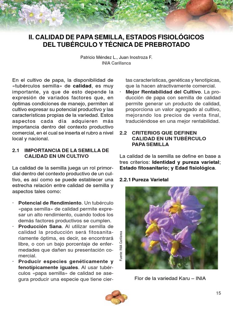 Calidad de Semilla de Papa | PDF | Patata | Tallo de la planta
