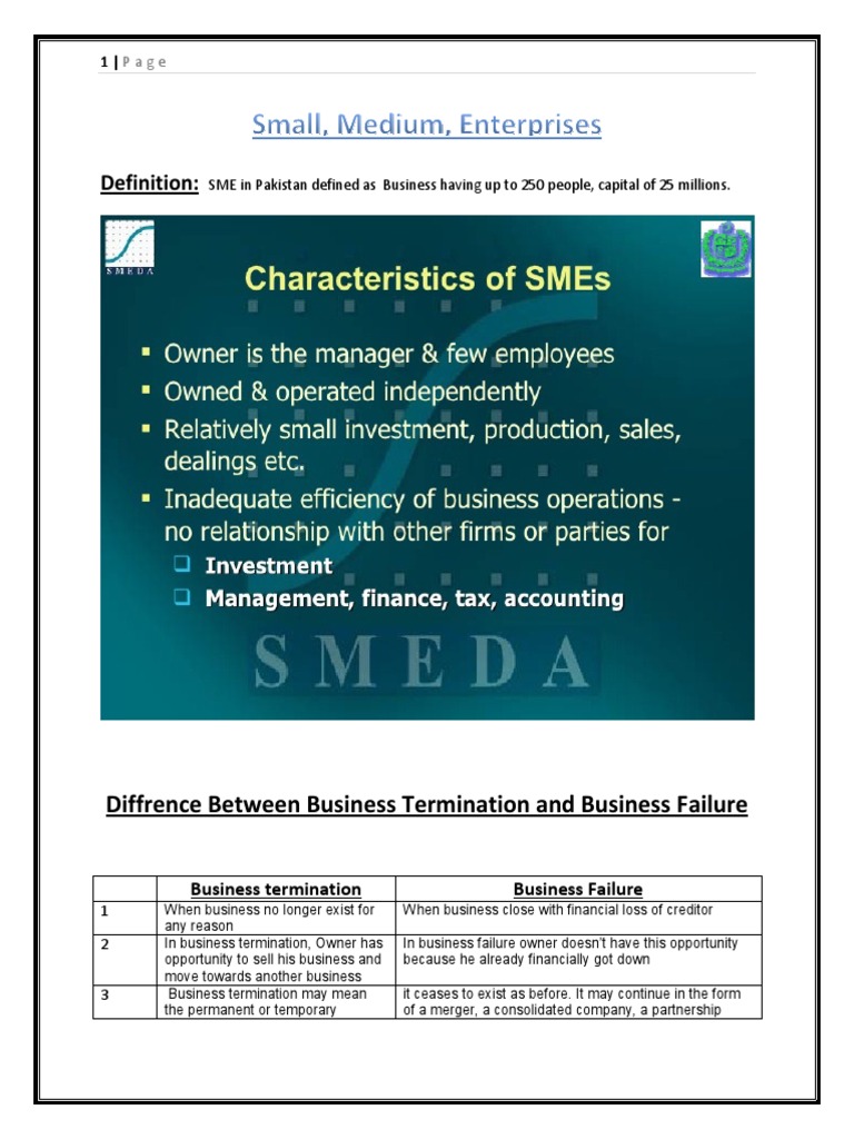 SME Notes | PDF | Small And Medium Sized Enterprises | Employment