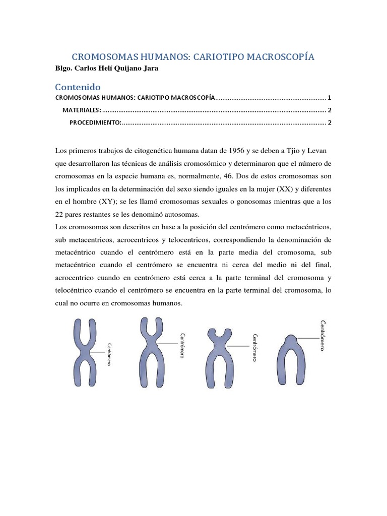 PRÁCTICA Cromosomas Humanos | PDF | Cromosoma | Cariotipo