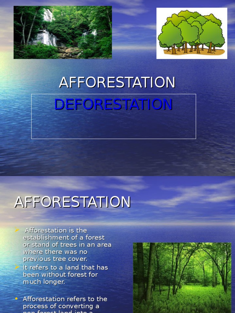 Balancing Afforestation and Deforestation: Understanding the Importance ...