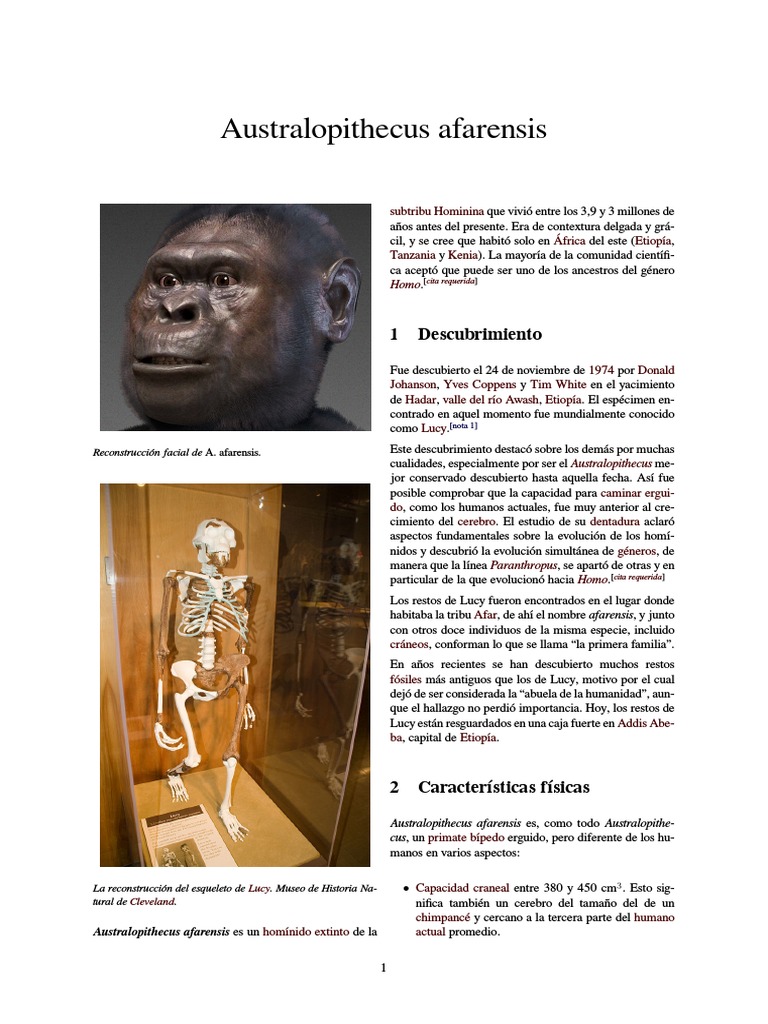 Características del Australopithecus afarensis | PDF | Antropologia ...