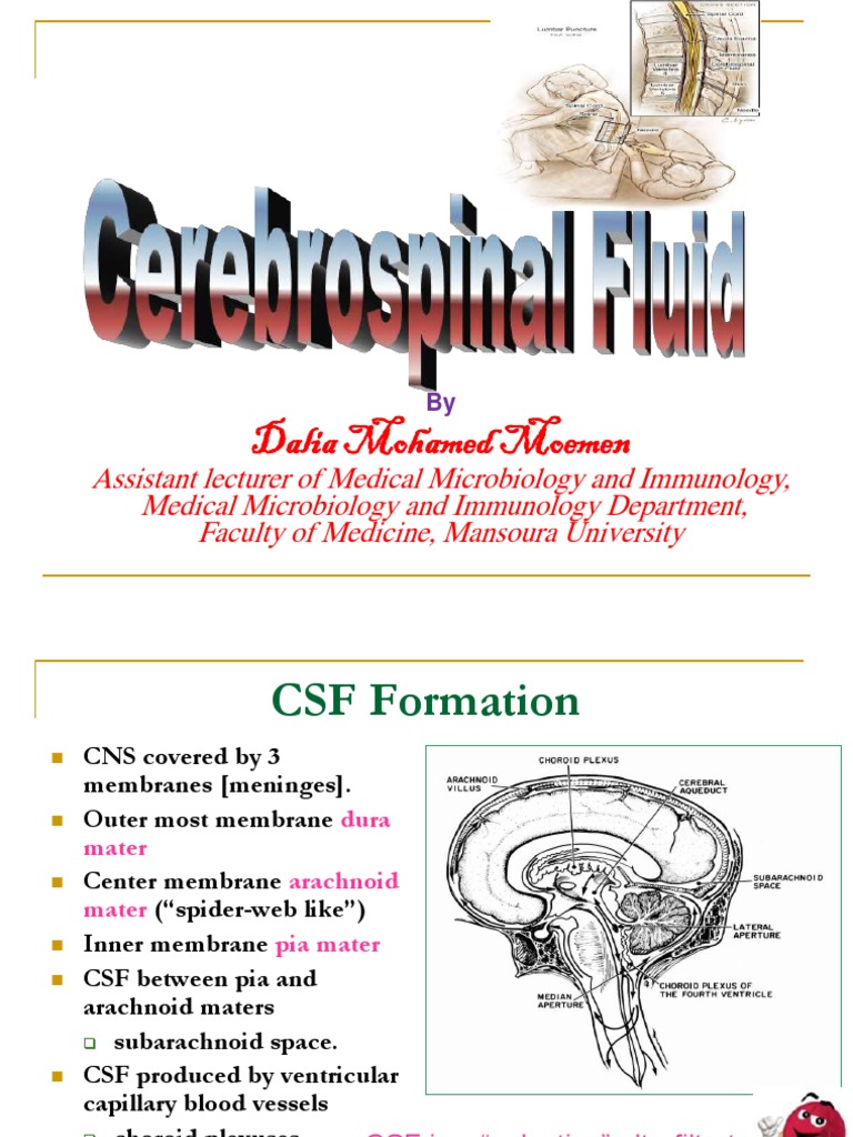 csf final | Meningitis | Cerebrospinal Fluid