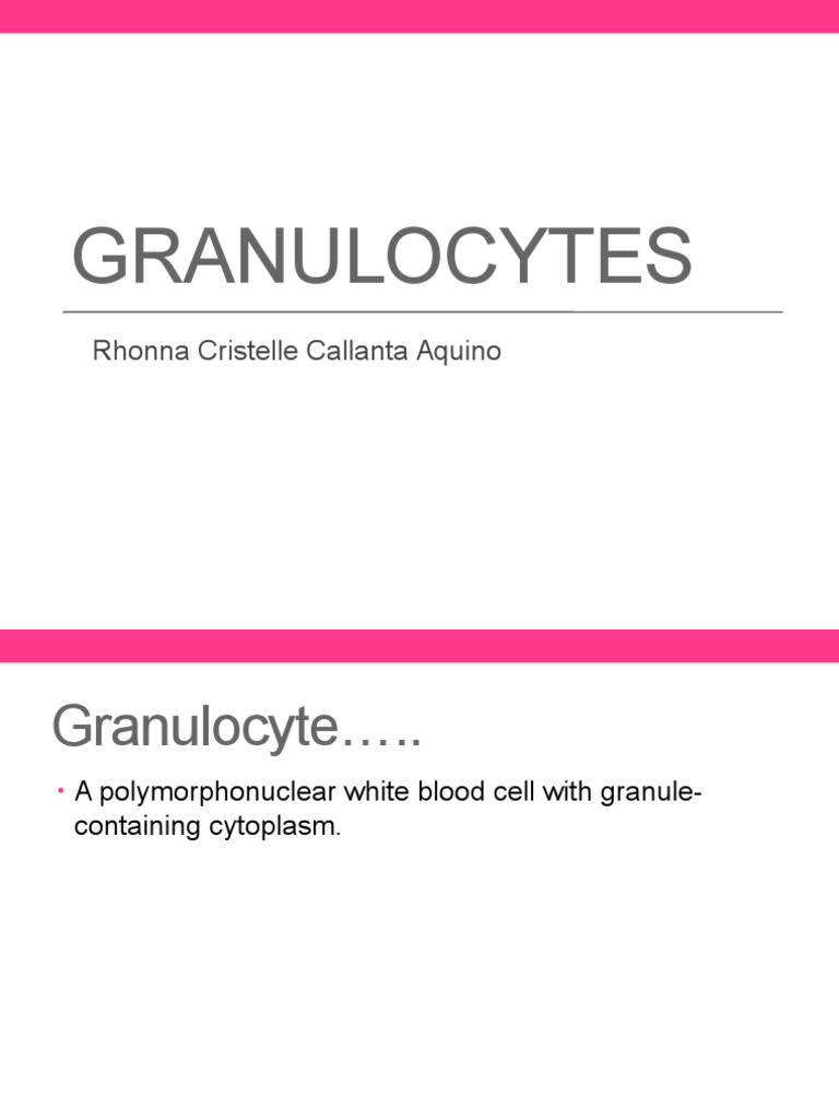 Granulocytes | PDF | Granulocyte | White Blood Cell