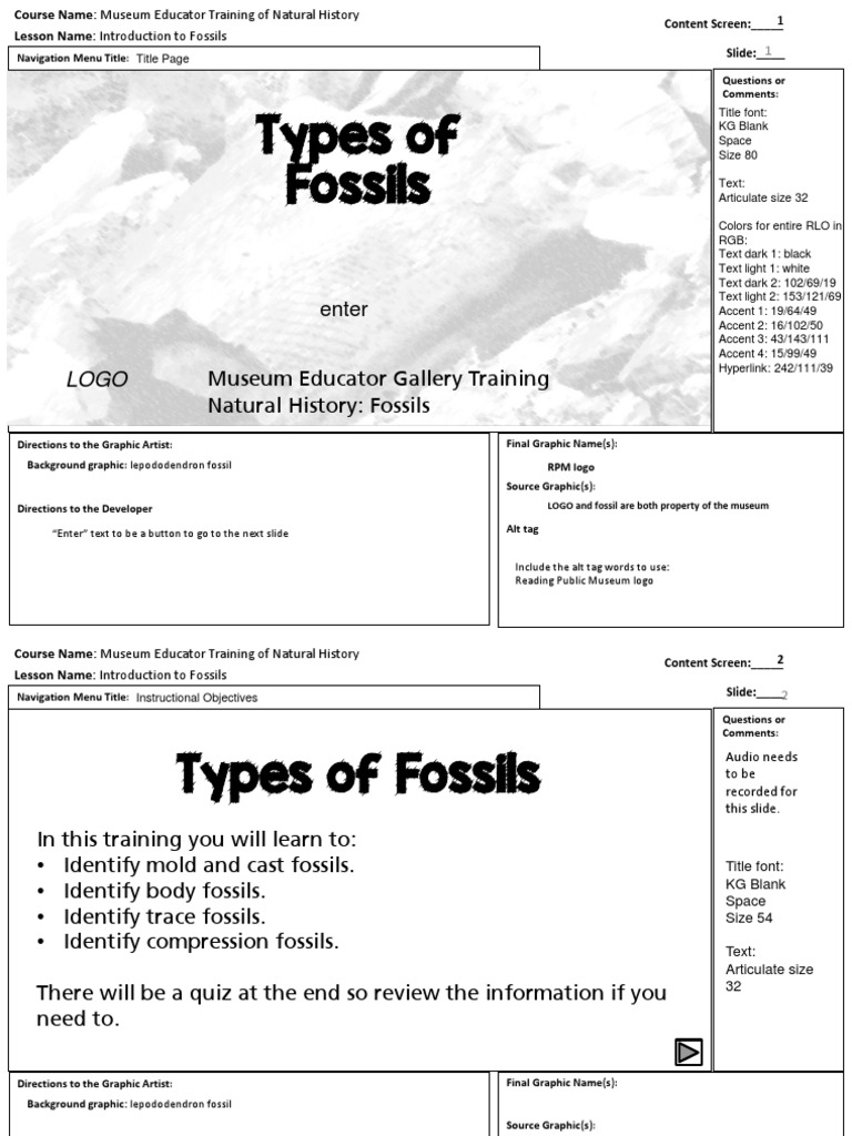 Accetta Storyboard | PDF | Fossil | Dinosaurs