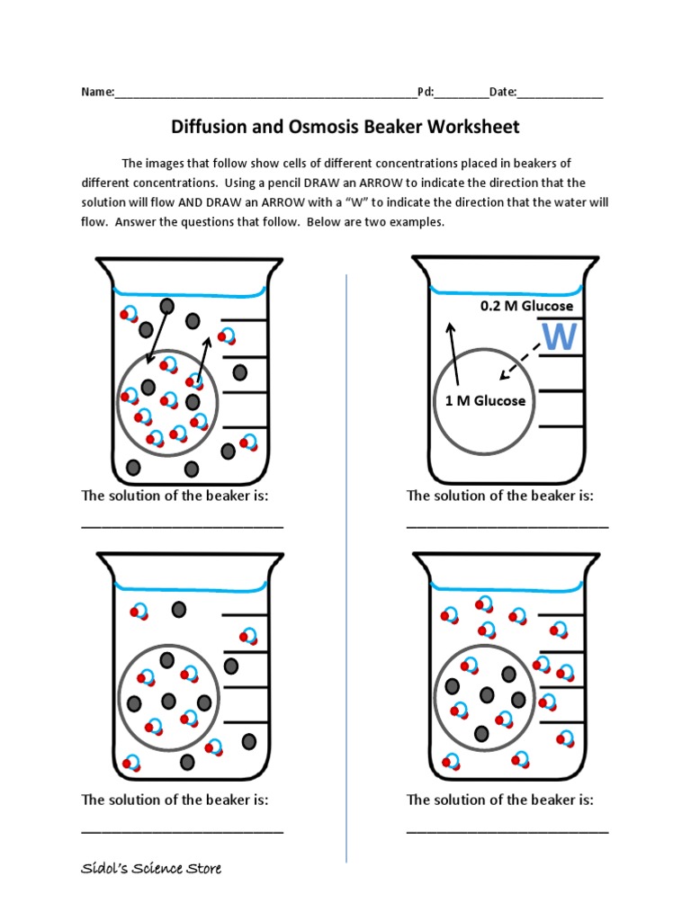 Osmosis and Diffusion Worksheet | PDF | Osmosis | Molecular Biology