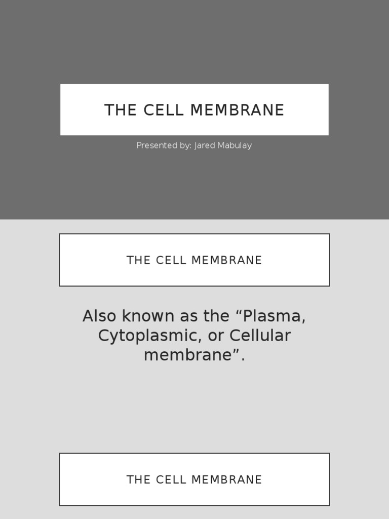 Cell Membrane To Glycocalyx | PDF | Cell Membrane | Cell (Biology)