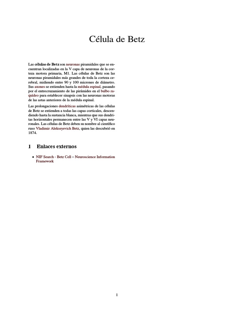 Célula de Betz | PDF | Ciencia y matemáticas