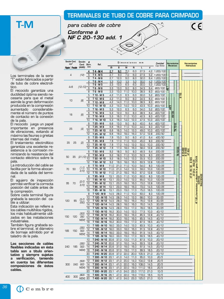 Terminales | PDF | Rieles | Conjuntos de elementos químicos
