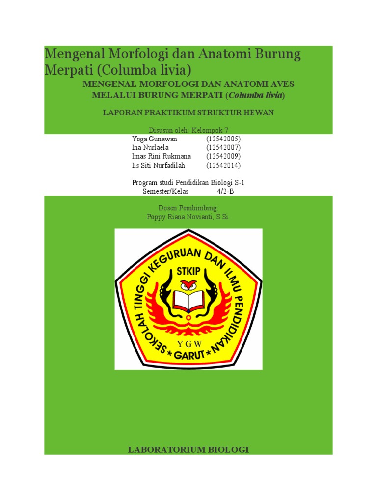 Morfologi dan Anatomi Burung Merpati | PDF | Sains & Matematika