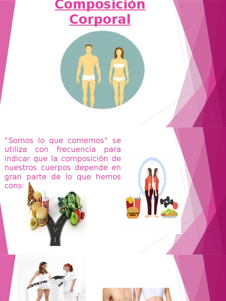 Composicion Corporal | Tejido adiposo | Biología Celular)