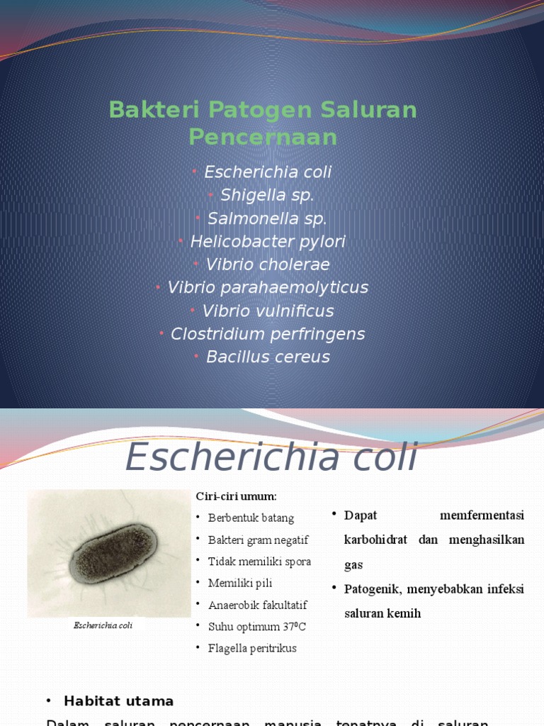 Bakteri Patogen Saluran Pencernaan | PDF