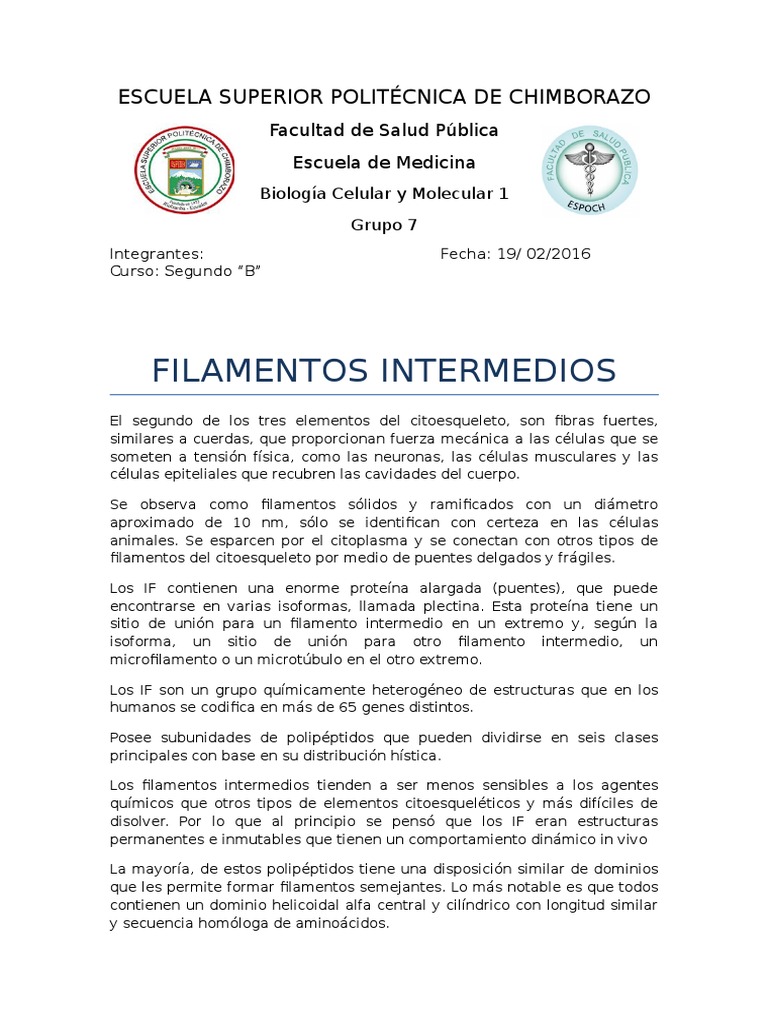 Filamentos Intermedios | PDF | Citoesqueleto | Biología Celular)