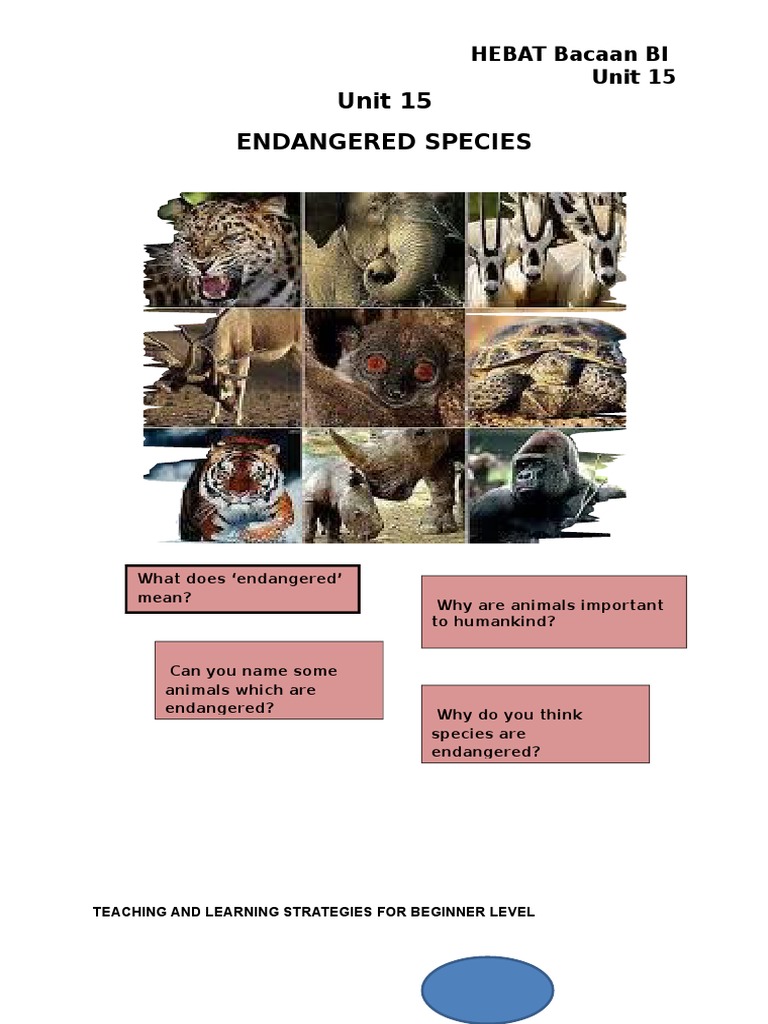 Unit 15 GROUP WORK Presentation | PDF