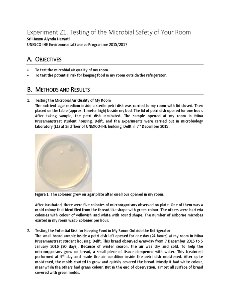 Testing The Microbial Air Quality and Food Hygiene in My Room | PDF ...