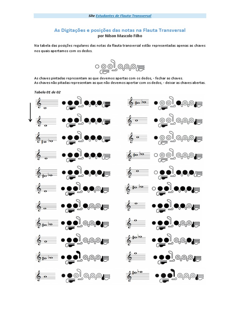 As Digitações e Posições Das Notas Na Flauta Transversal - RevA