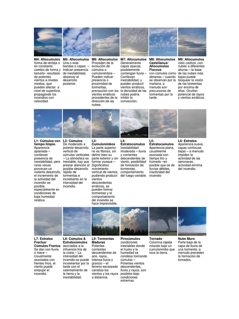 Tipos de Nubes | PDF | Nube | Velocidad del viento