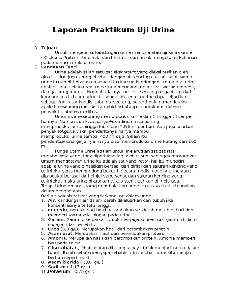 ANALISIS HASIL UJI URINE | PDF