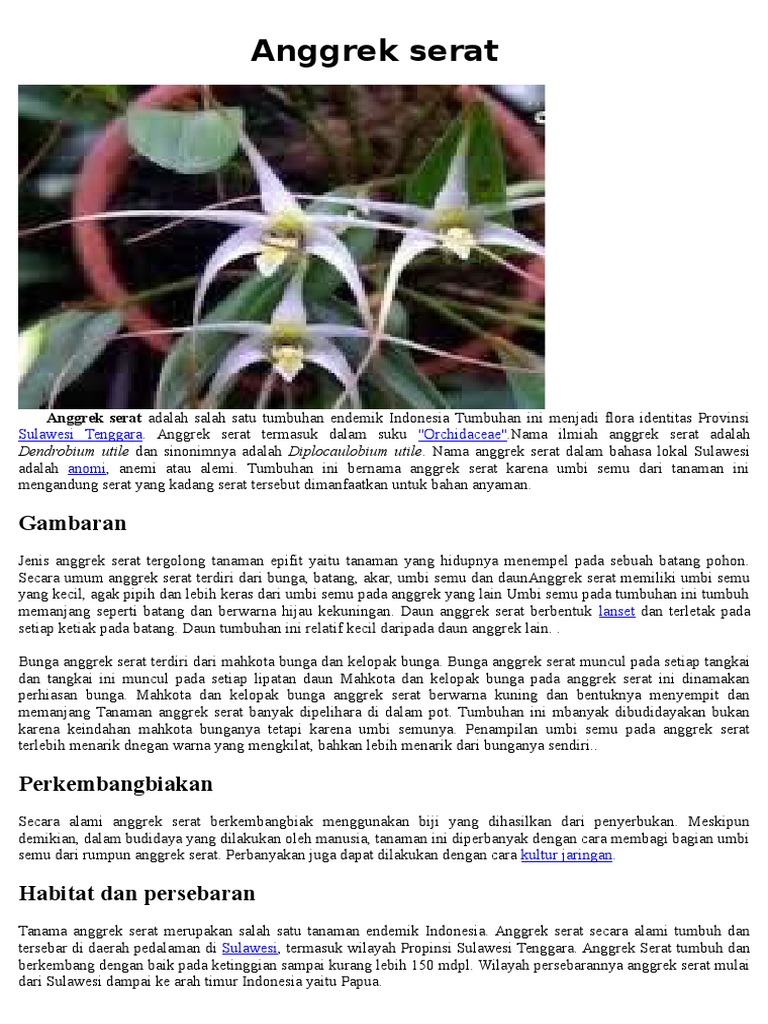 Anggrek Serat | PDF