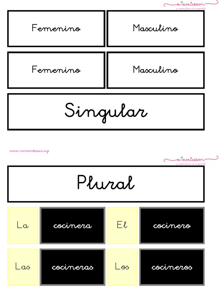4 Femenino y Masculino Singular y Plural Letra Ligada