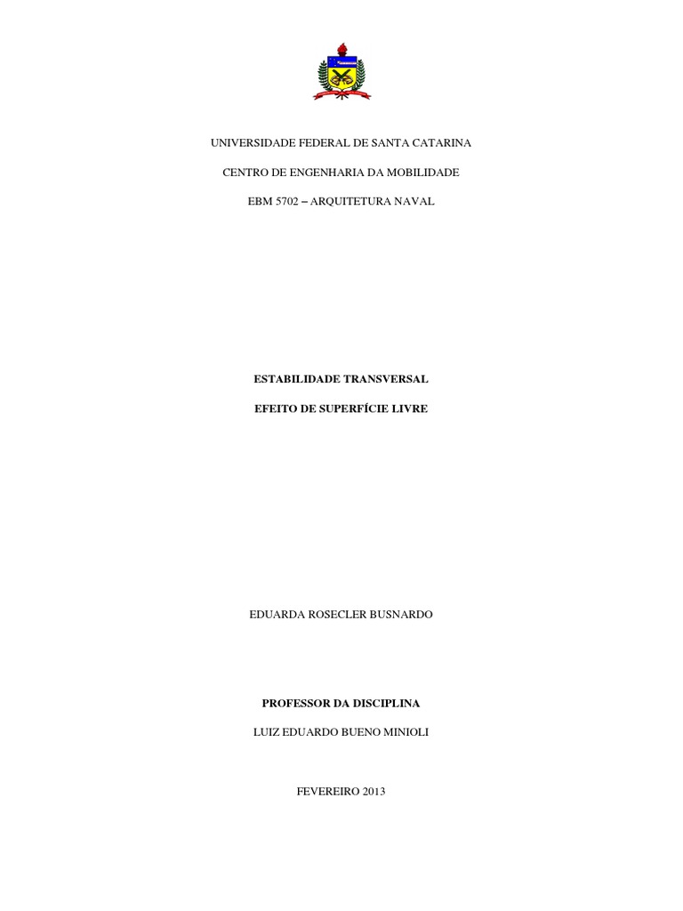 Eduarda Busnardo - Estabilidade Transversal e Efeito de Superfície ...