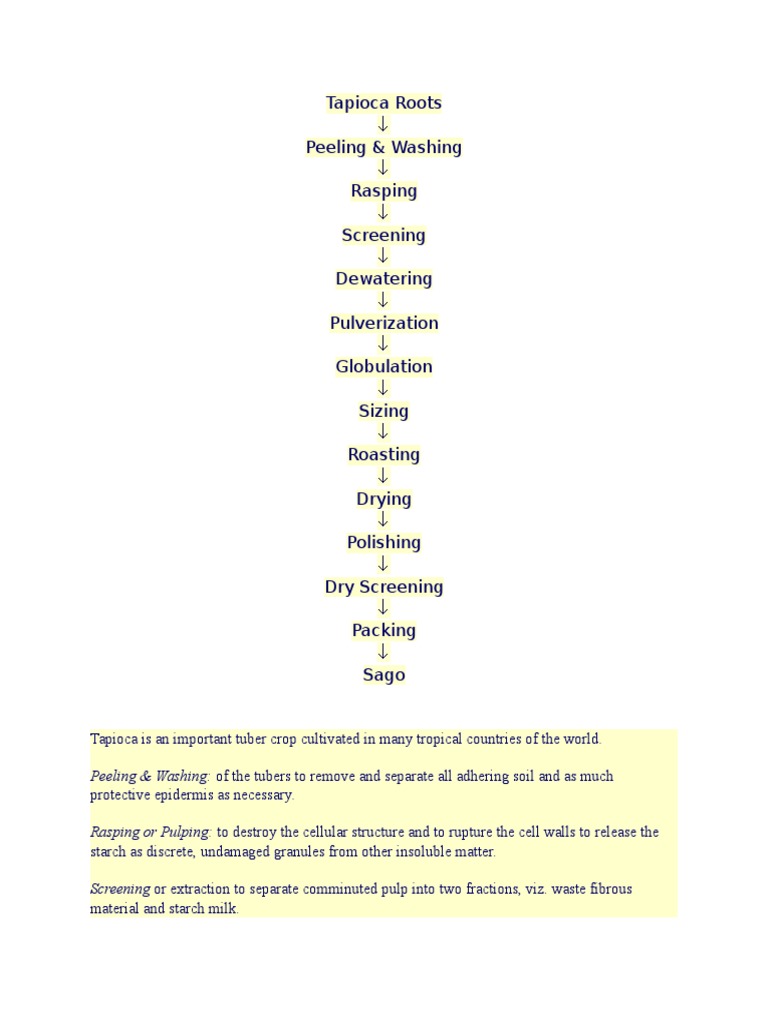 Tapioca Roots Peeling & Washing Rasping Screening Dewatering ...