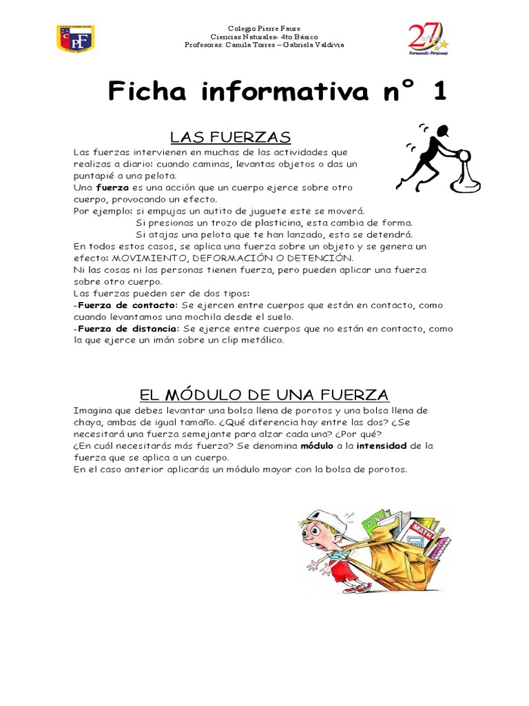 Fichas Informativas | PDF | Imán | Fuerza