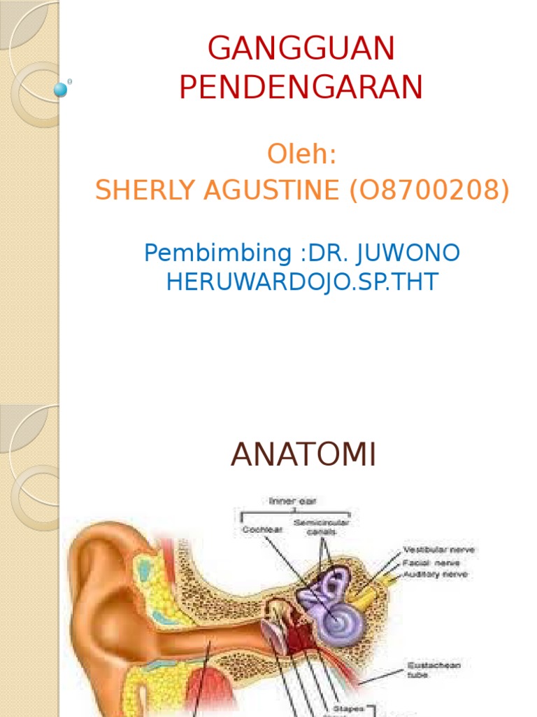 Gangguan Pendengaran | PDF