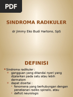 Peta Dermatome dan Inervasi Saraf | PDF