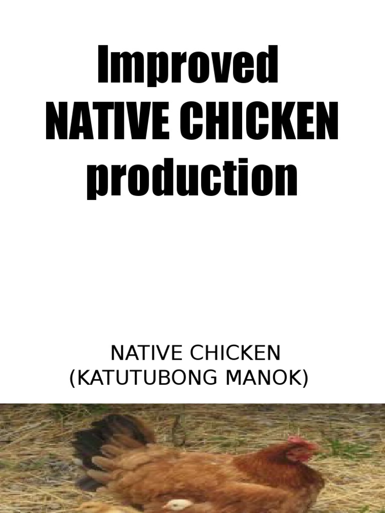 ICFP Native Chicken Presentation | PDF