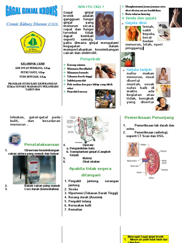 Leaflet CKD NEW | PDF | Kesehatan Holistik