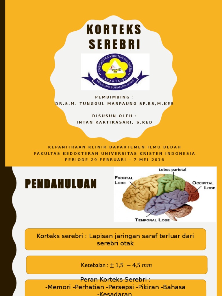 Fungsi dan Struktur Korteks Serebri | PDF | Kajian Bahasa Asing | Sains ...