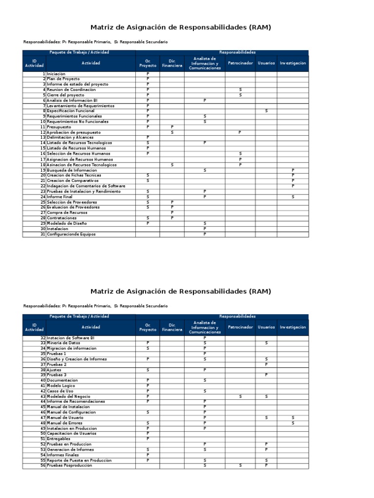 Matriz RAM EJEMPLO | PDF | Software | Recursos humanos