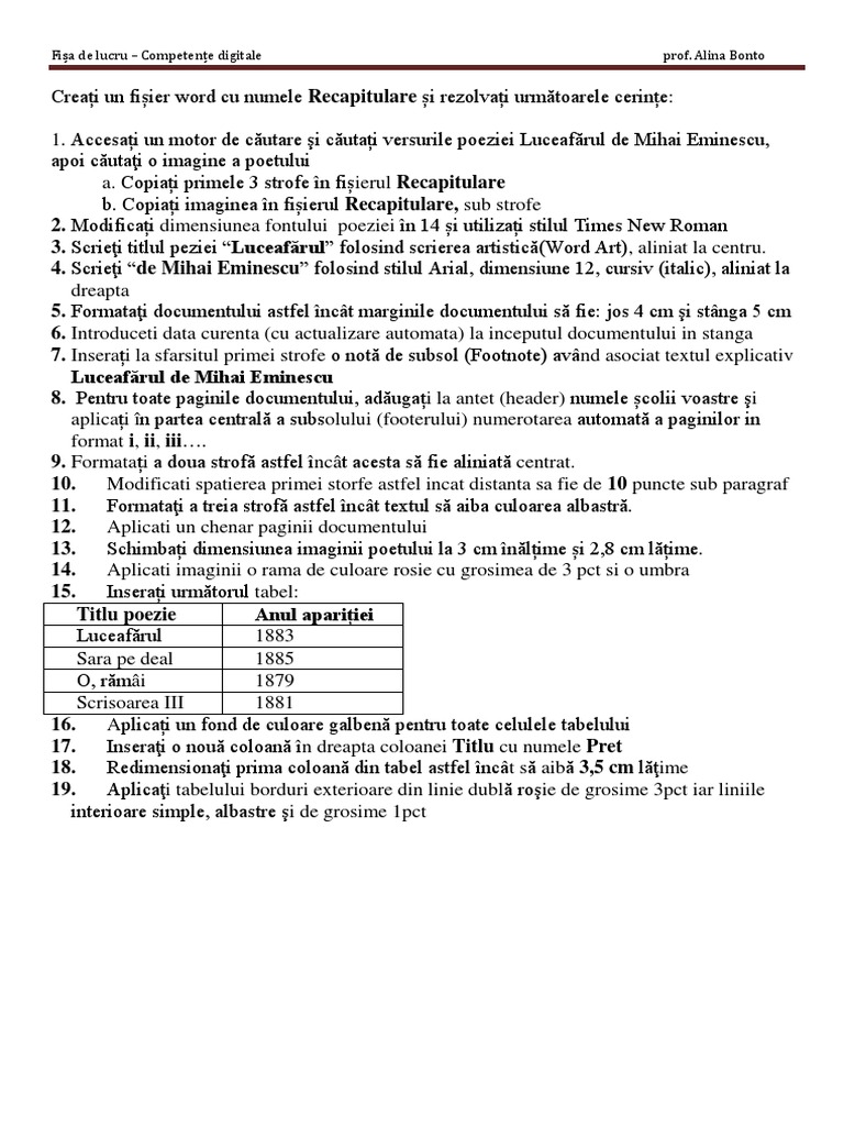 FL3-fisa Lucru TIC | PDF