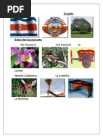 Asocie Simbolos Nacionalesde Costa Rica | PDF