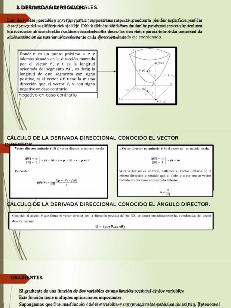 Derivada Direccional | PDF | Vector Euclidiano | Derivado