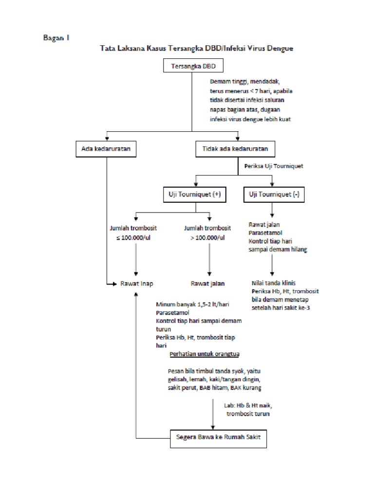 Pathway DF DHF | PDF