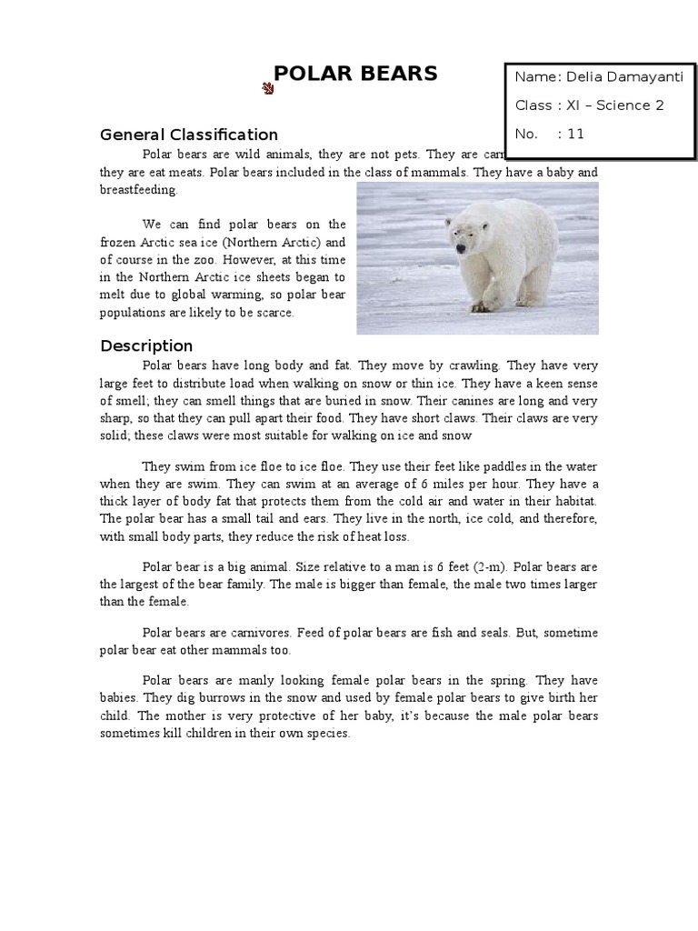 Polar Bear | PDF
