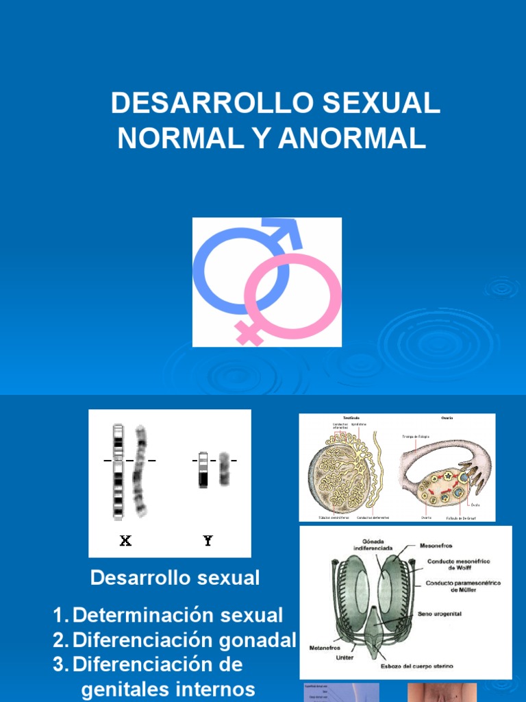 Desarrollo Sexual Normal y Anormal GENETICA | PDF