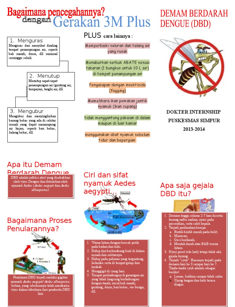 Leaflet DBD | PDF