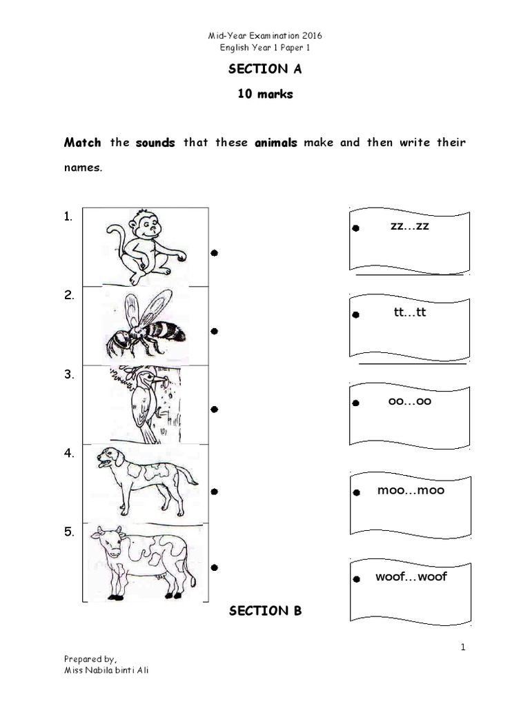 Year 1 Paper 1 | PDF